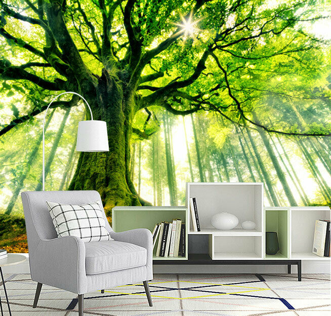Tree Giant Wallpaper Mural Custom Wall Murals Green Big Tree Forest