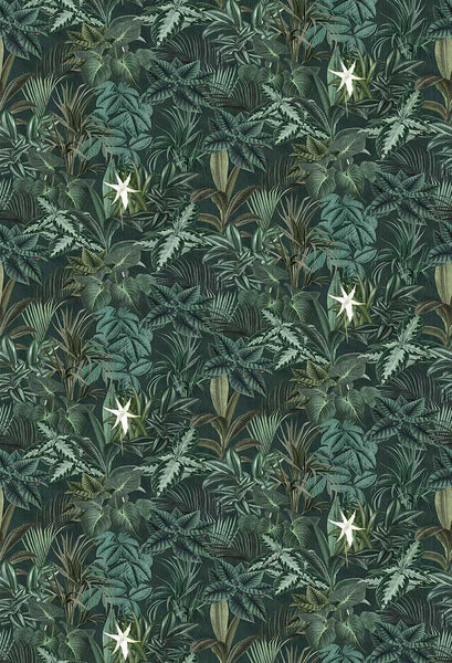 Madagascar Greenery Leaves Wall Paper B44